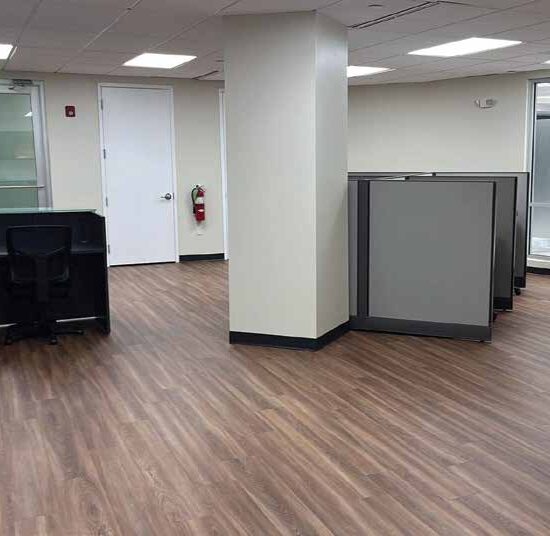 Trifecta Build - Construction